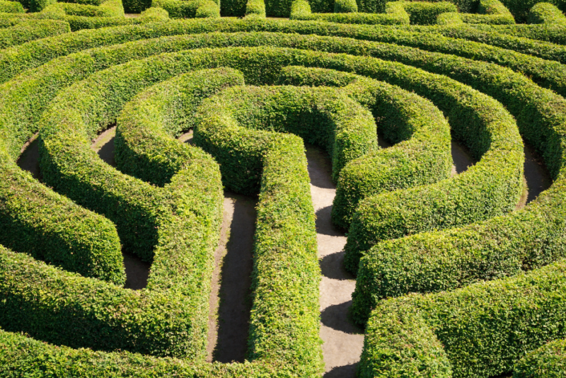 The Amazing History of Corn Mazes, Including Fun Facts You Never Knew ...
