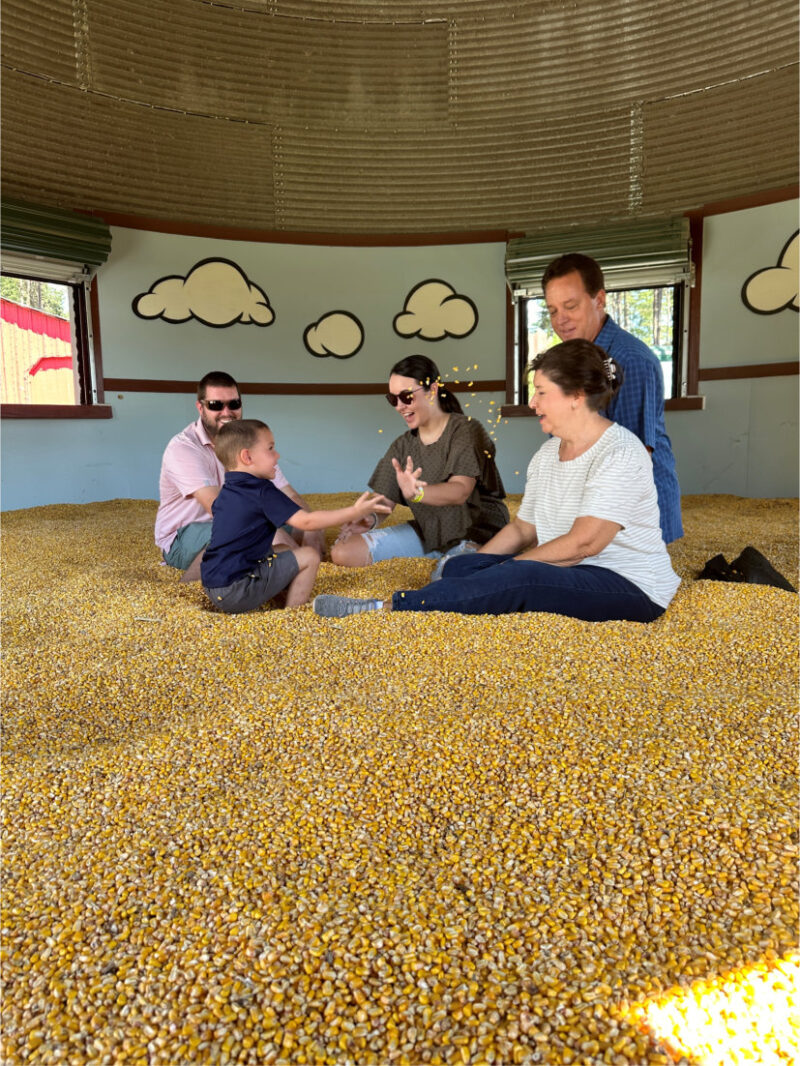 Activities - Maize Adventure